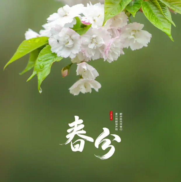 Difference between SWB Bill of Lading and telex release bill of lading ...